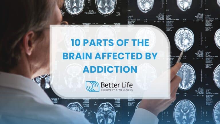 10 parts of the brain affected by addiction - Better Life Recovery