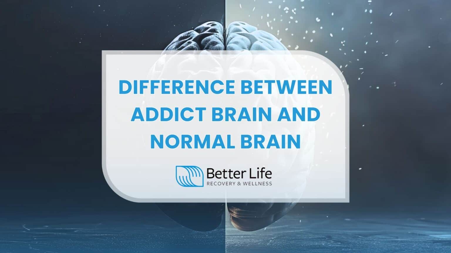 Difference between Addict Brain and Normal Brain - Better Life Recovery