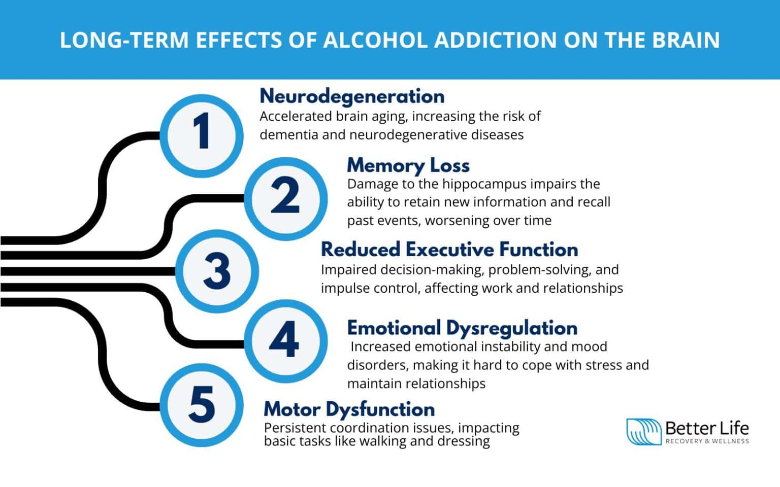 Alcohol and the Brain: Alcohol’s Effect on Brain and Mental Health, and ...